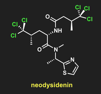 Publications | Zakarian Group