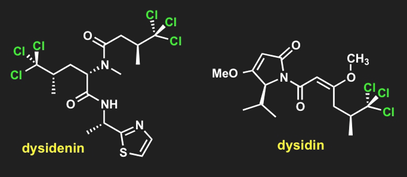 Publications | Zakarian Group